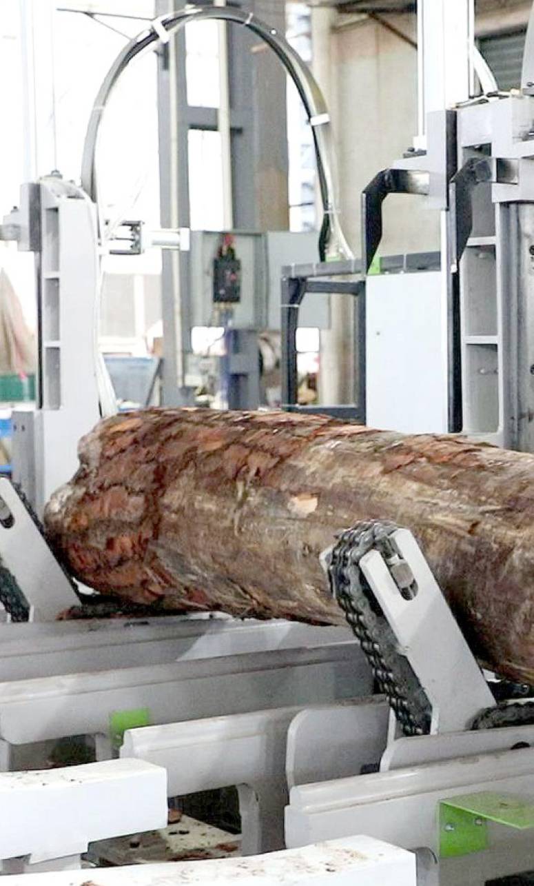 Log Frame Sawing Machine - Foshan Leabon Machinery Co., Ltd.